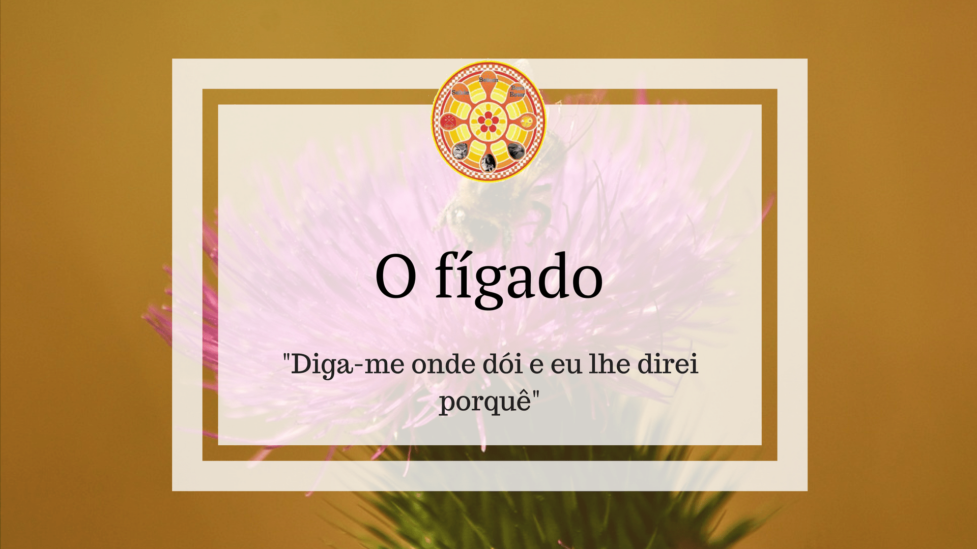 O que significam os males do fígado? - Saúde, Bem-Estar e Beleza